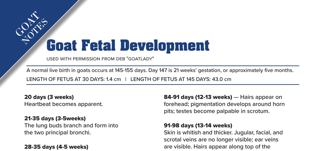 Goat Fetal Development - Goat Journal